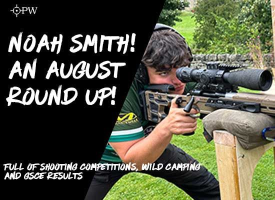 Noah Smith An August Round up