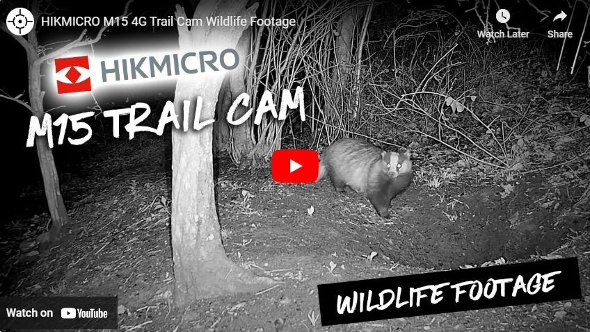 HIKMICRO M15 4G Trail Cam Wildlife Footage